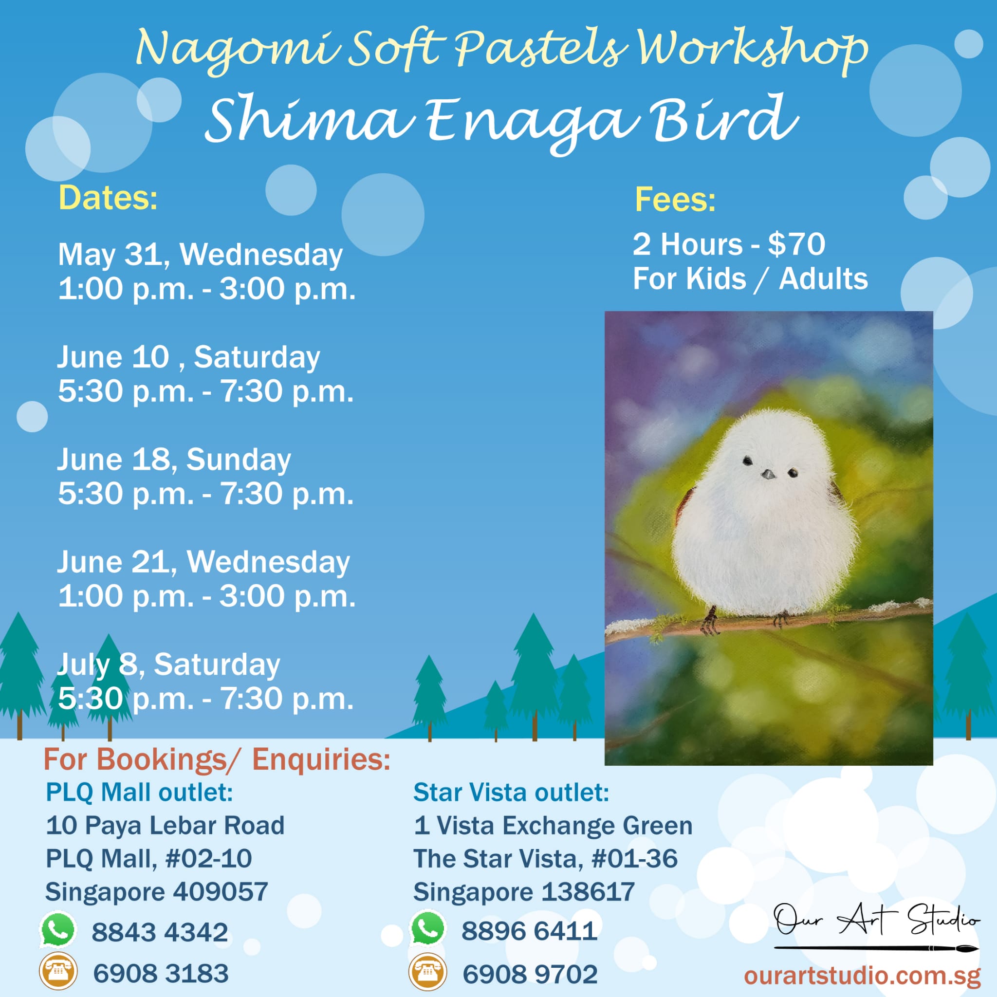 Nagomi Soft Pastels - Shima Enaga Bird - Our Art Studio
